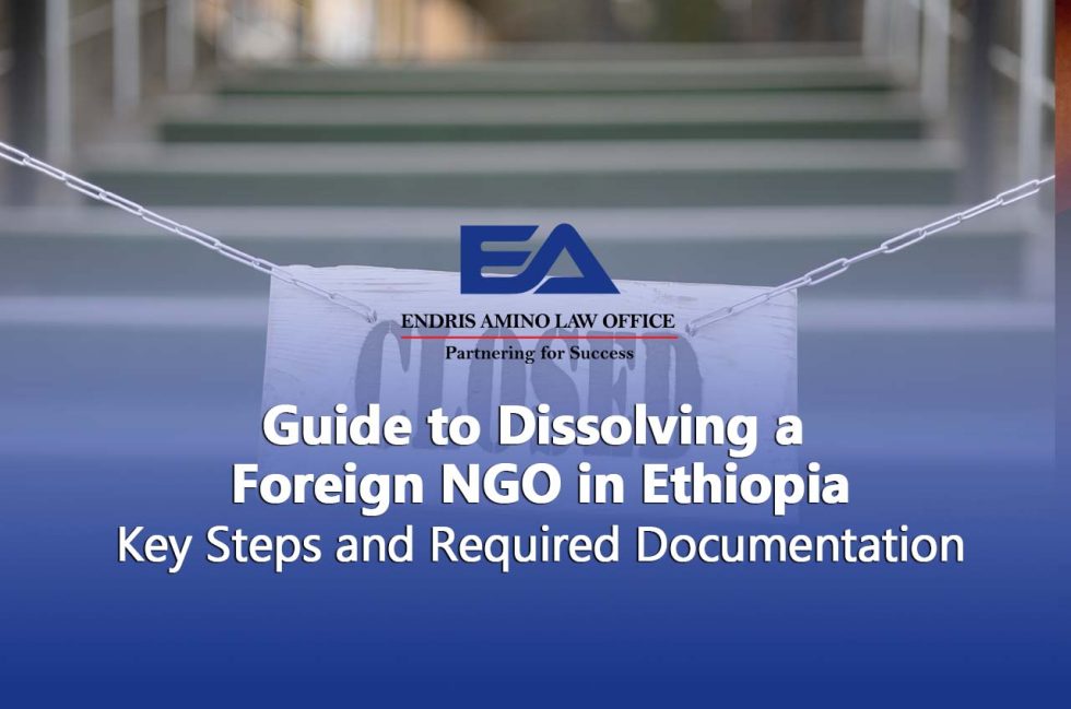 Employment Contracts in Ethiopia: A Guide Under Labour Proclamation No ...